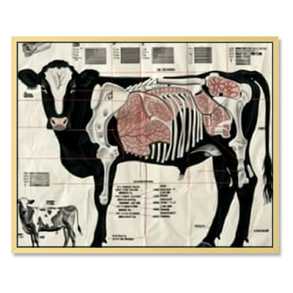 Angus Beef Chart Poster - Meat Cuts Print - Cooking Art - Cow Wall Art ...