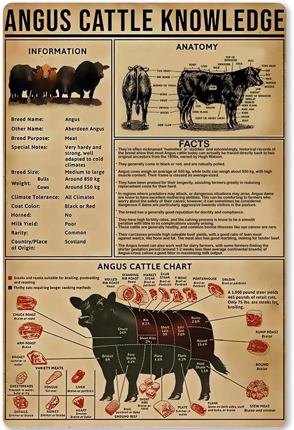 Angus Cattle Knowledge Metal Aluminium Signs Vintage Angus Cattle Chart ...