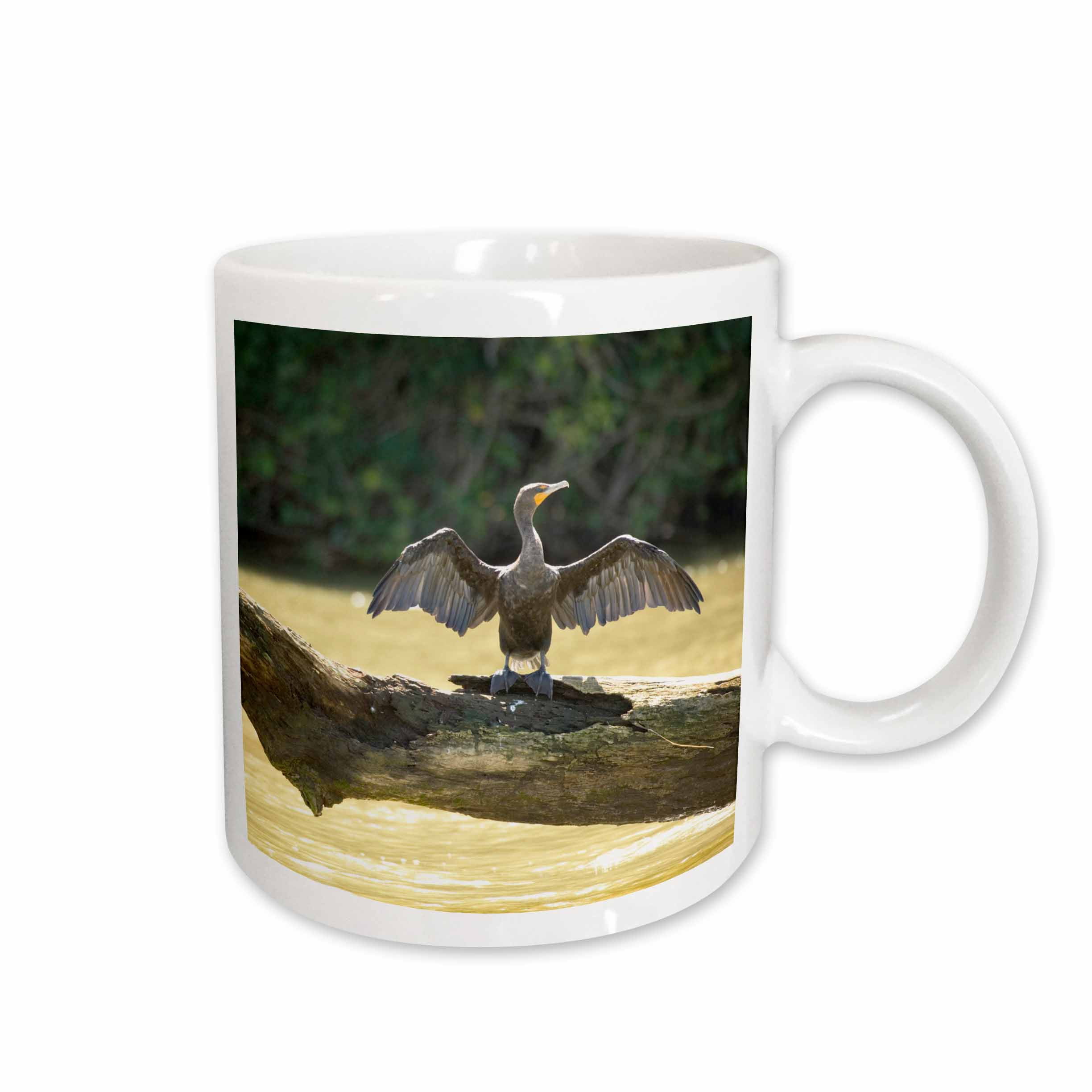 3drose, Anhinga Bird, Monkey River, Belize - Sa02 Jme0213 - John and ...