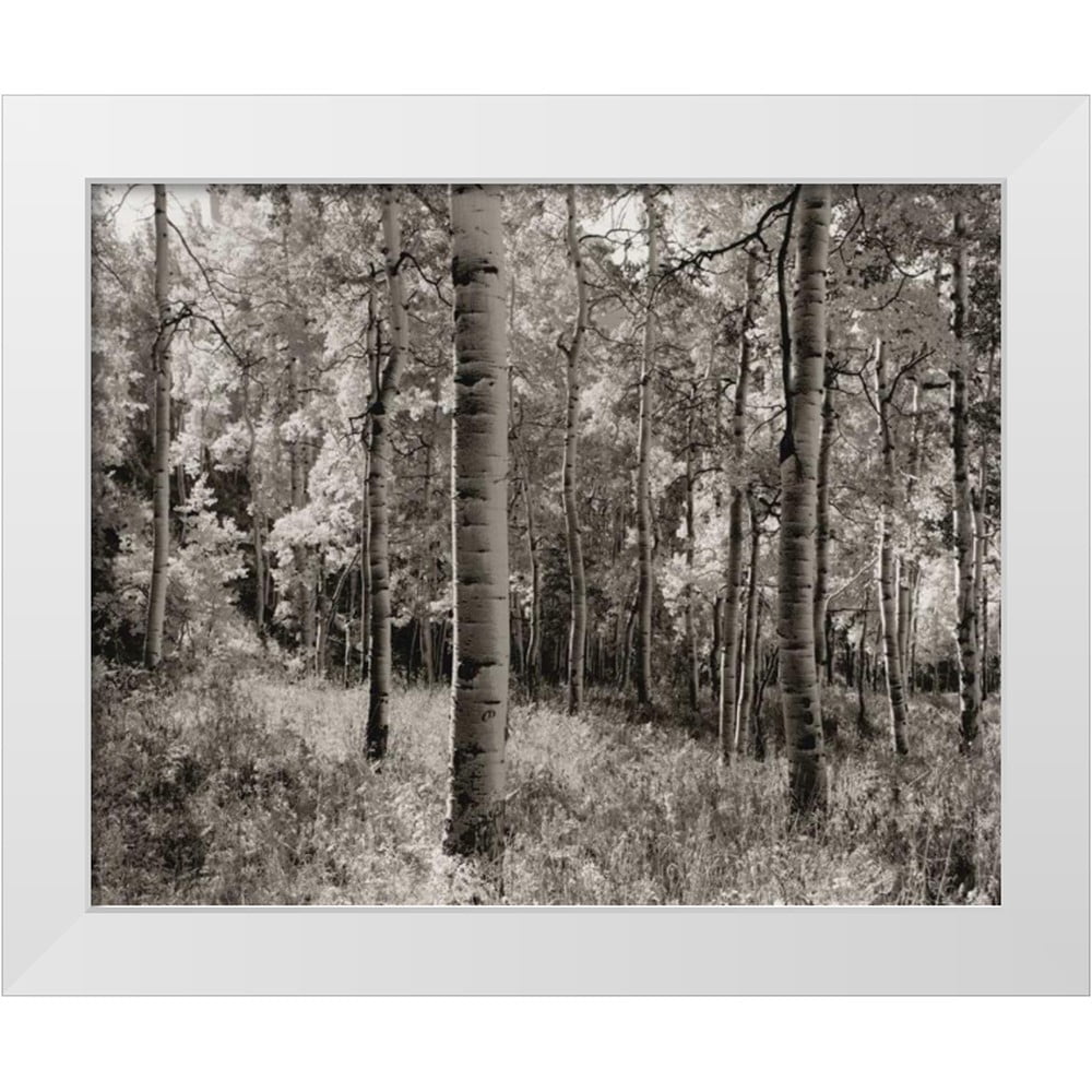 Aniballi, Brett 14x12 White Modern Wood Framed Museum Art Print Titled ...
