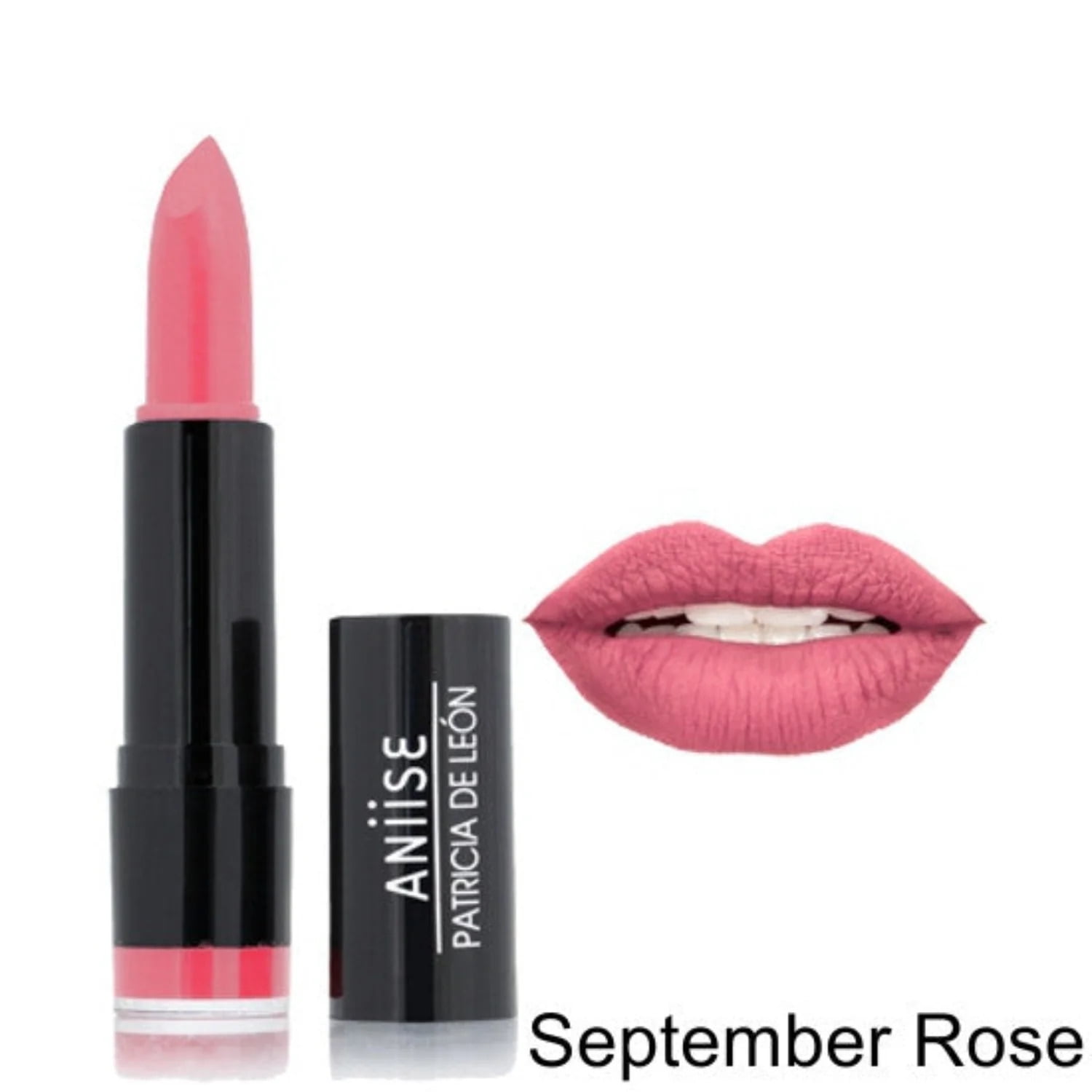 Aniise Pro Matte Lipsticks in 14 Shades - Walmart.com