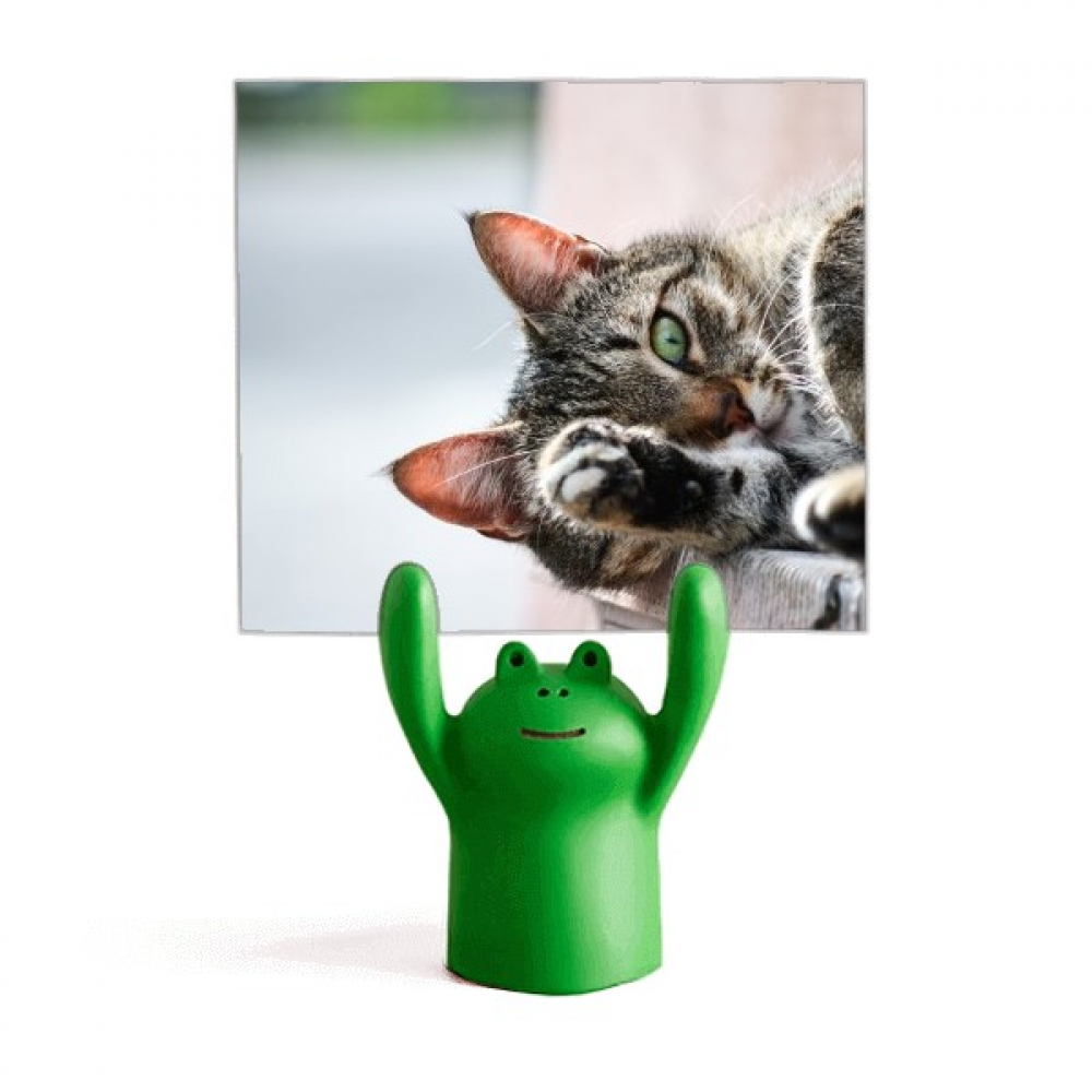 Animal Activity Cat Photograph Picture Memo Holder Cartoon Animal Frog ...