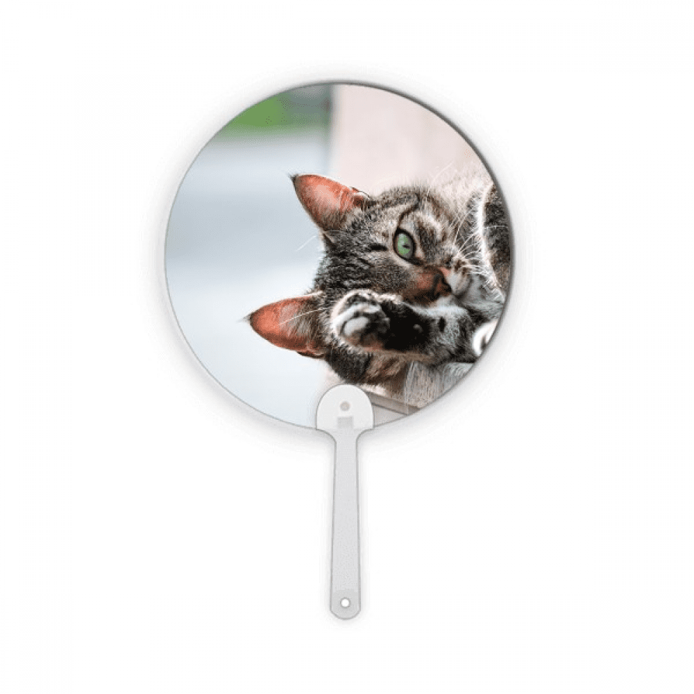 Animal Activity Cat Photograph Picture Plastic Round Handheld Fan ...