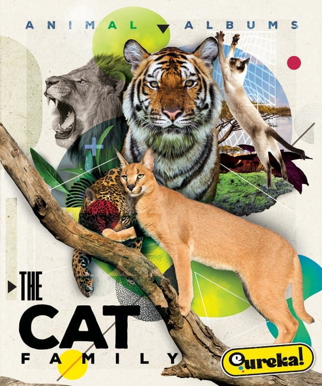 Animal Albums The Cat Family, (Hardcover) - Walmart.com
