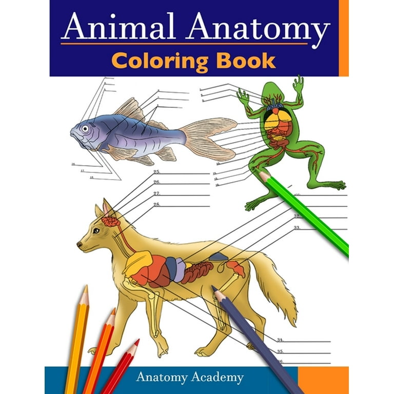 animal anatomy coloring pages online