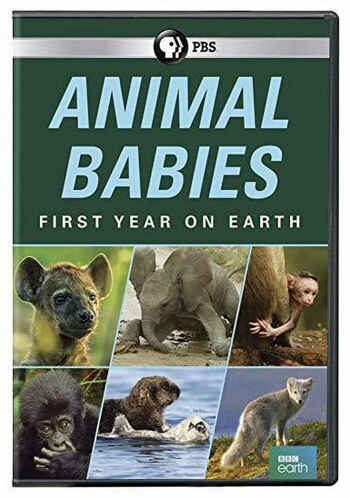 Animal Babies: First Year On Earth (DVD), PBS (Direct), Documentary ...
