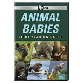 Babyfirst Dvd