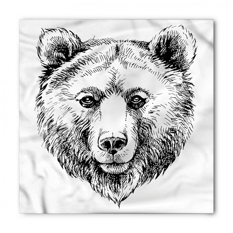 Grizzly Bear Head Outline Grizzly Bear Face Cartoon Illustration Bear
