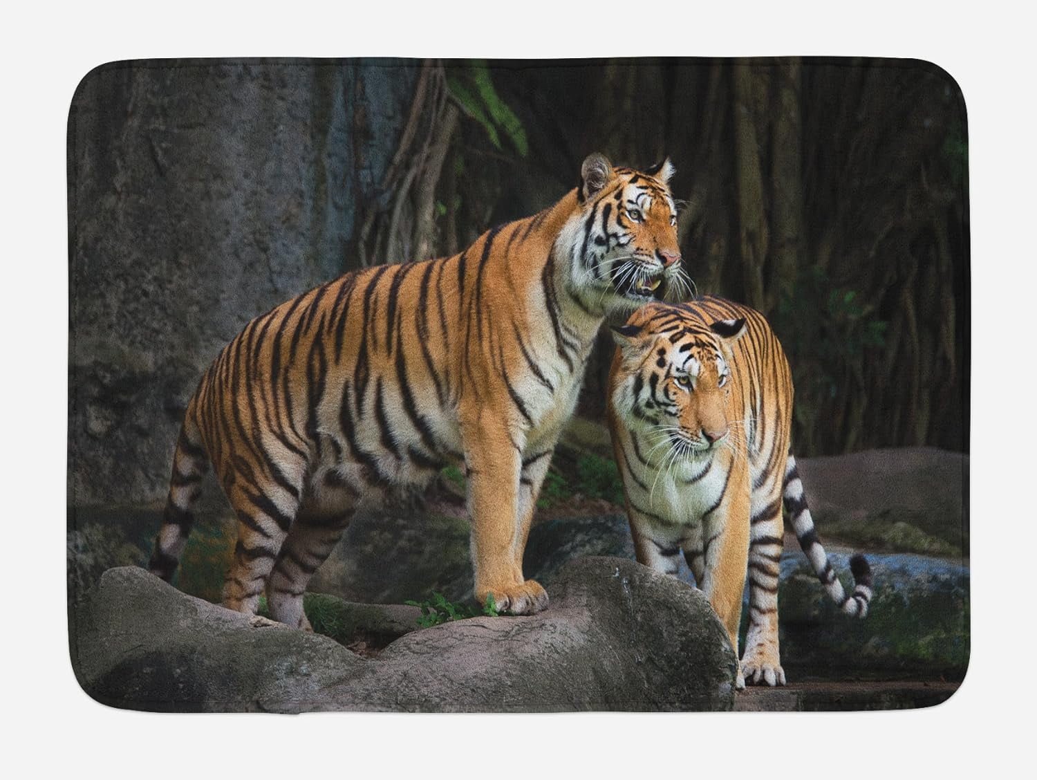 Animal Bath Mat, Tiger Couple in The Jungle on Big Rocks Image Wild ...