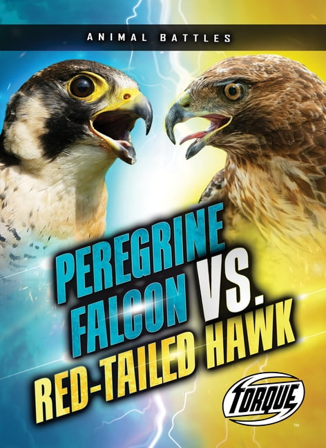 Animal Battles Peregrine Falcon vs. Red-Tailed Hawk, (Hardcover ...