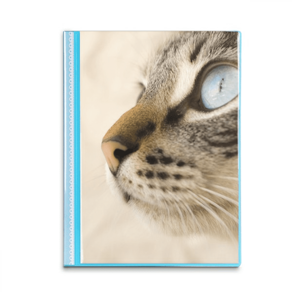 Animal Blue Eye Kitten Gray Photo Book Sheet Protectors Portfolio ...