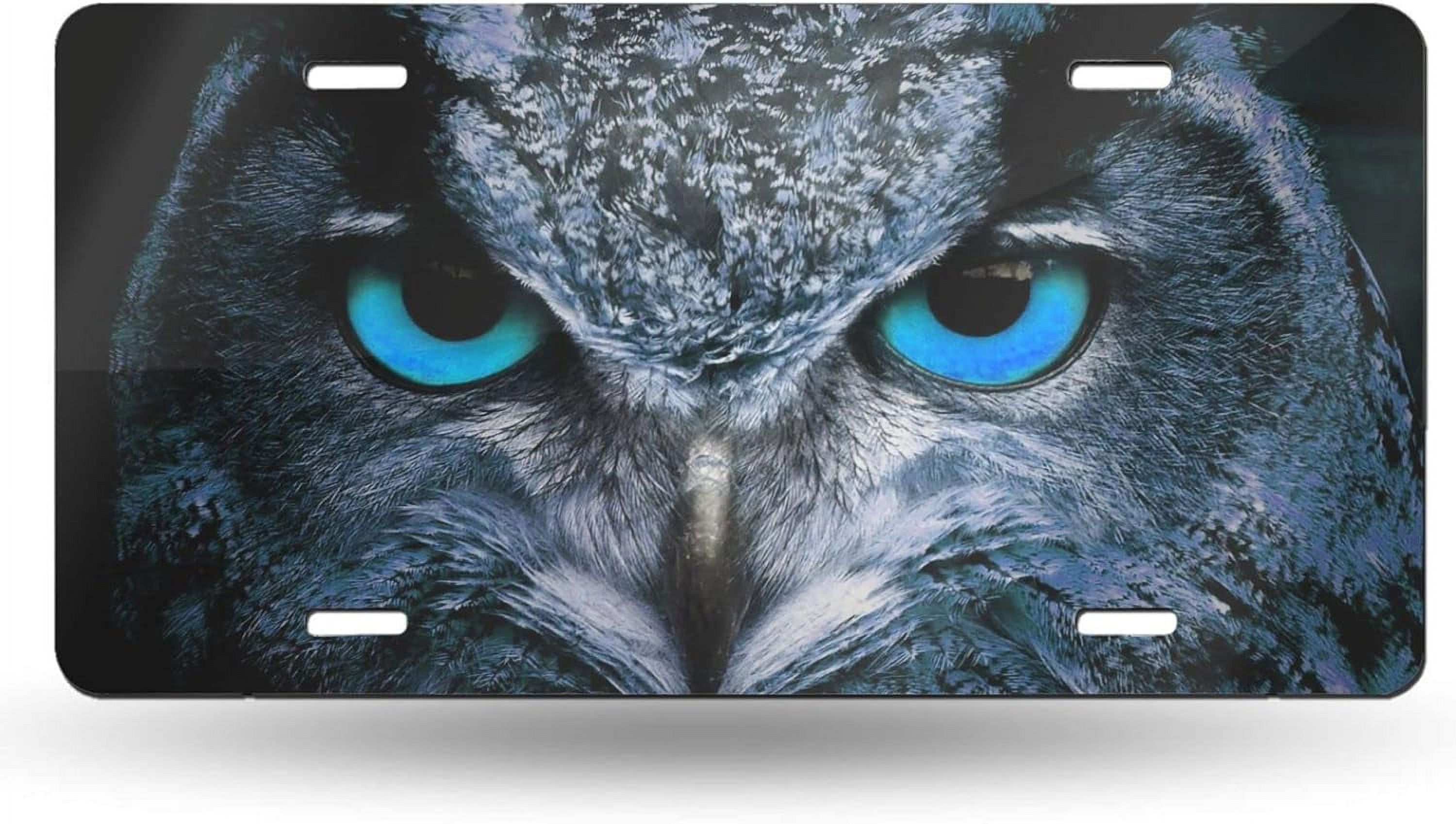 Animal Blue Eyes Owl License Plate Front Car Decorative Novelty Auto ...