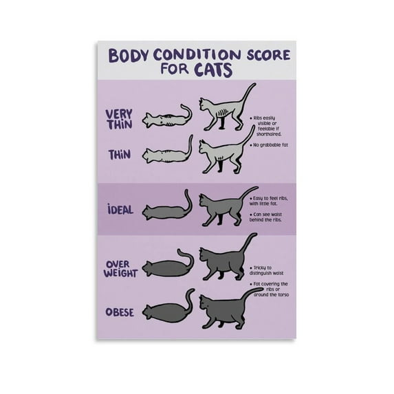 Animal Body Condition Poster,Cat Body Condition Score Chart 2 Canvas ...