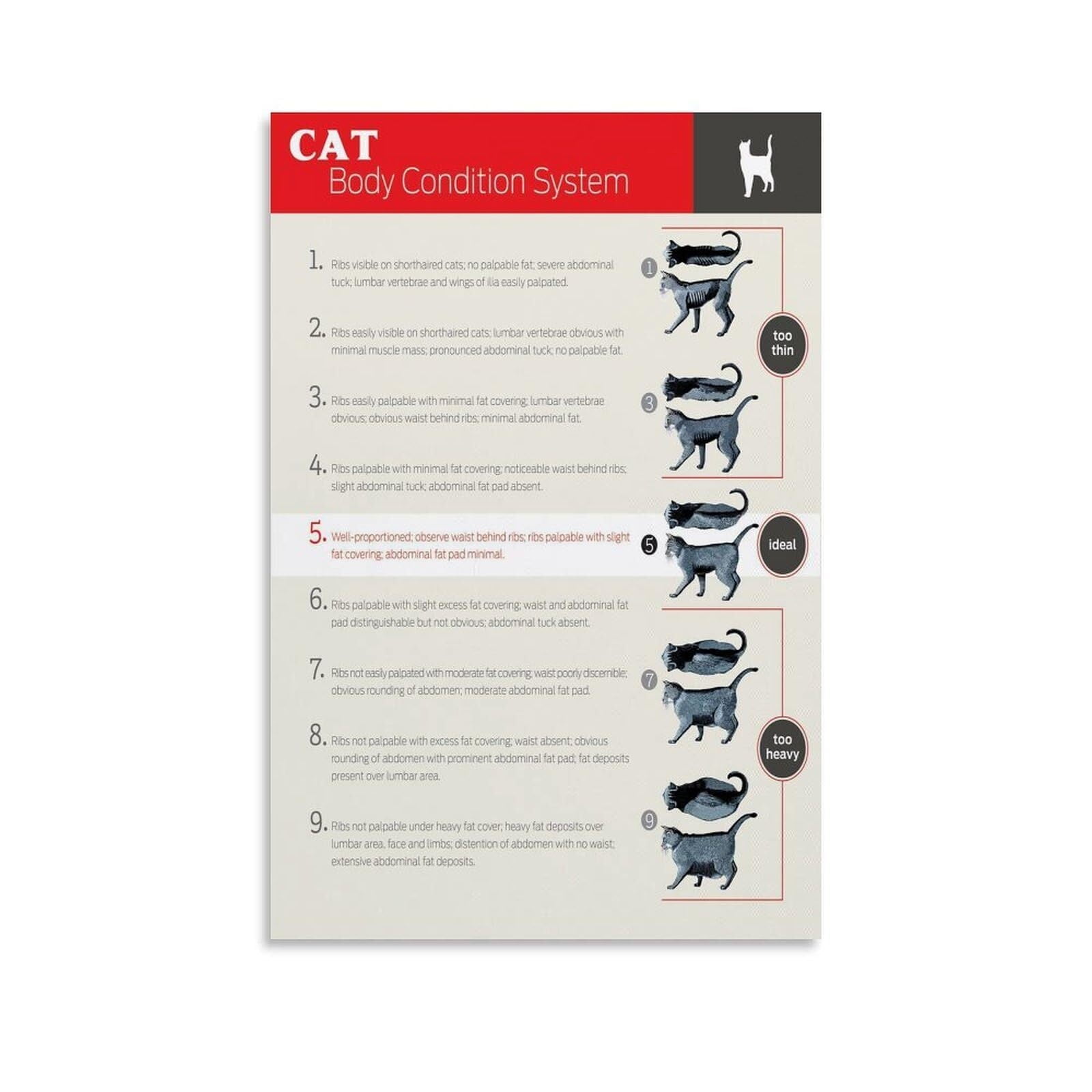 Animal Body Condition Poster,Cat Body Condition Score Chart 3 Canvas ...