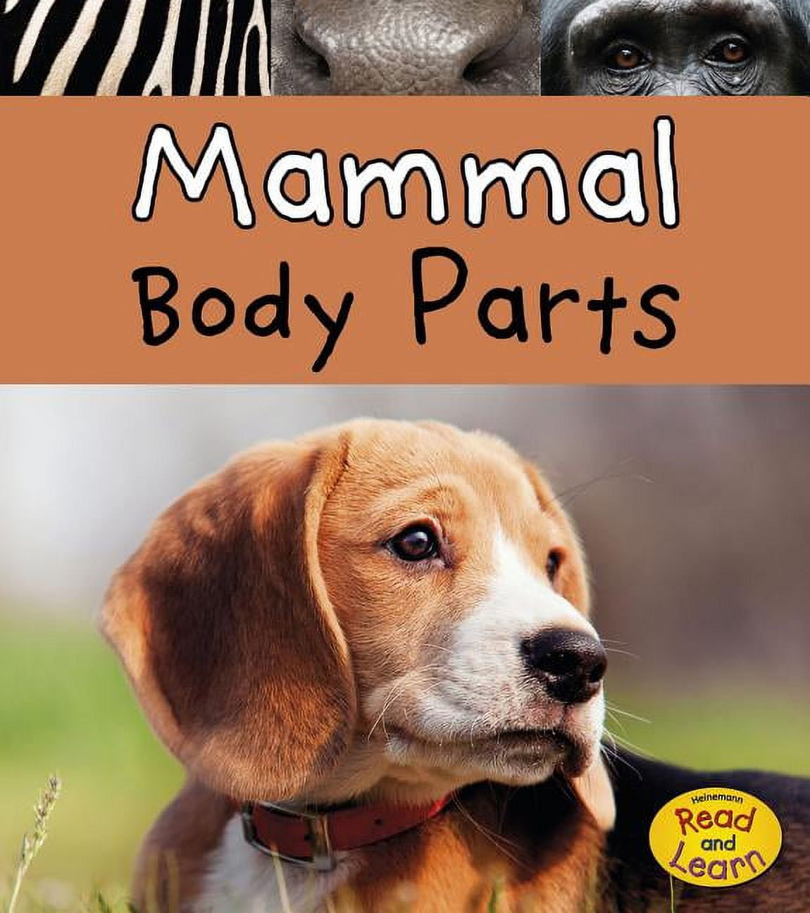 Animal Body Parts: Mammal Body Parts (Paperback) - Walmart.com
