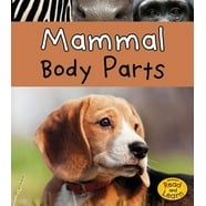 Animal Anatomy book for kids: Veterinary Physiology Animals Workbook ...