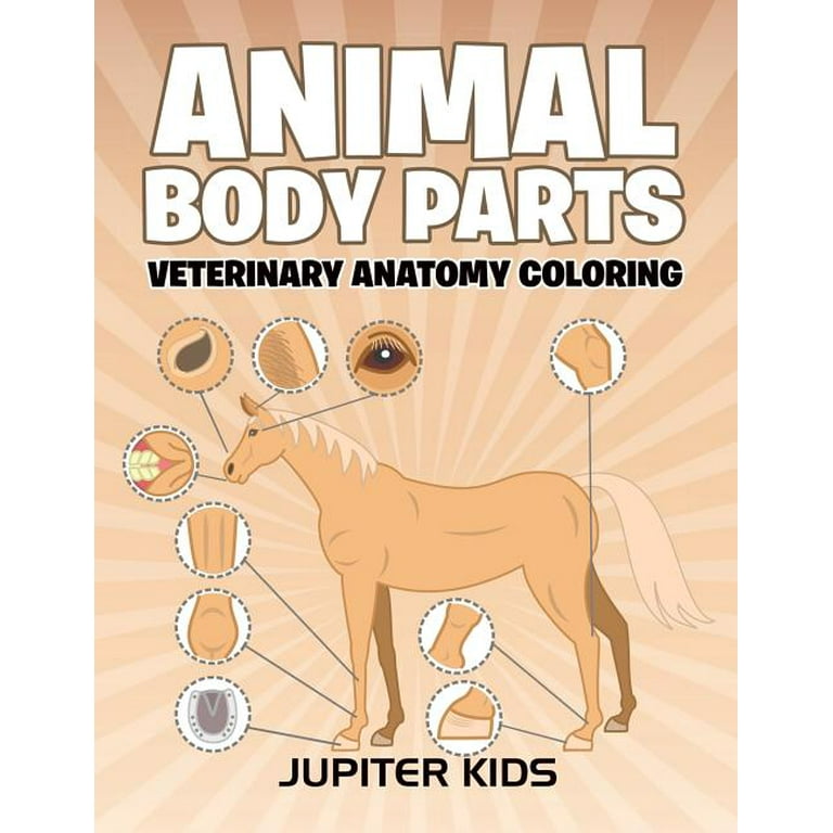 veterinary coloring book anatomy