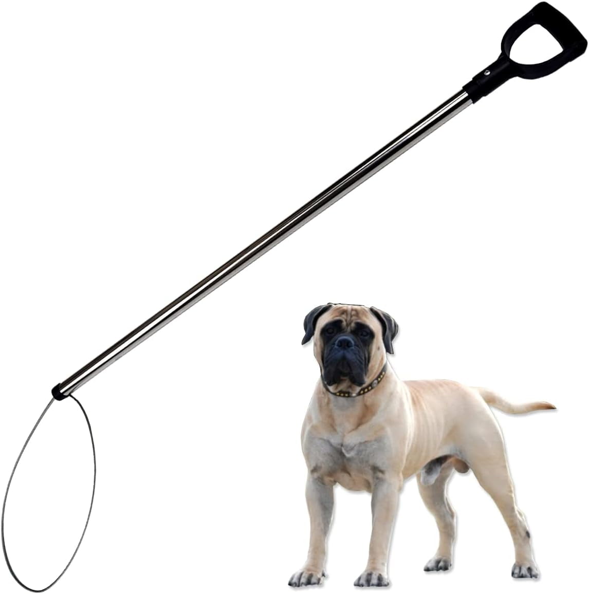 Animal Catch Pole Control Tool Kit for Hog Dog Pig Fox -44 inch ...