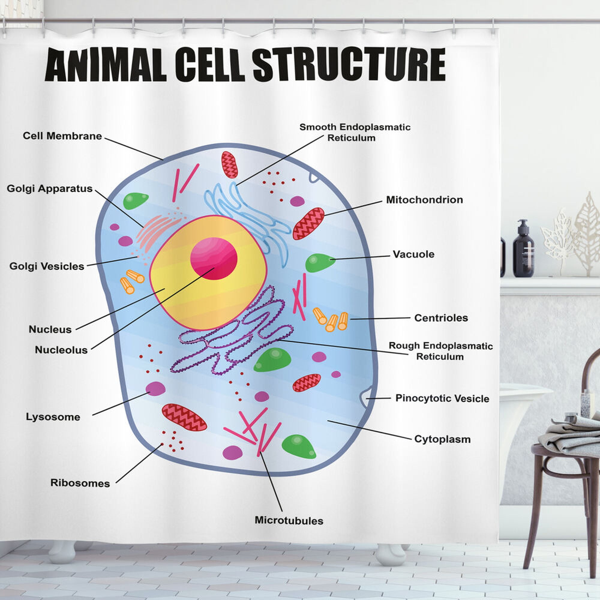 Educational Shower Curtain Animal Cell Study Print for Bathroom ...
