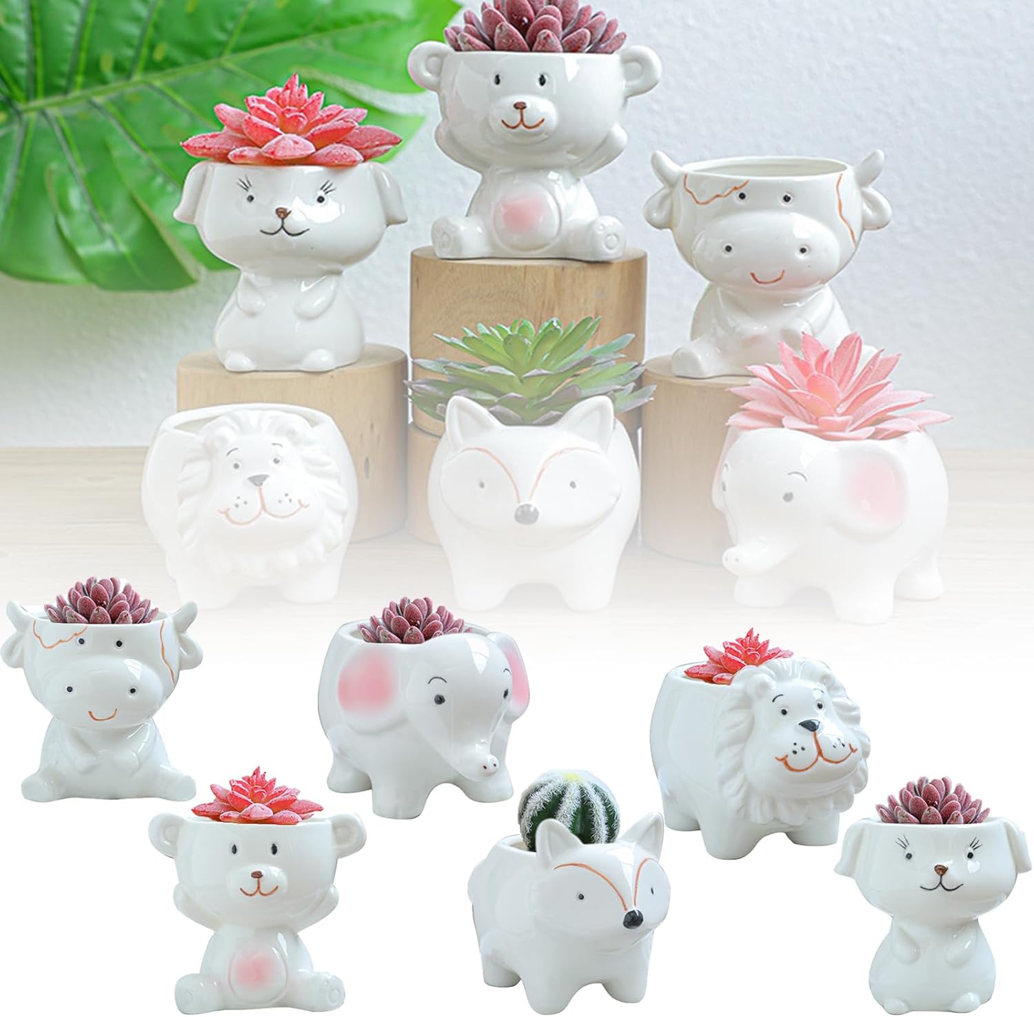 Animal Ceramic Succulent Pots Set, Air Plant Holders Cartoon Shaped ...