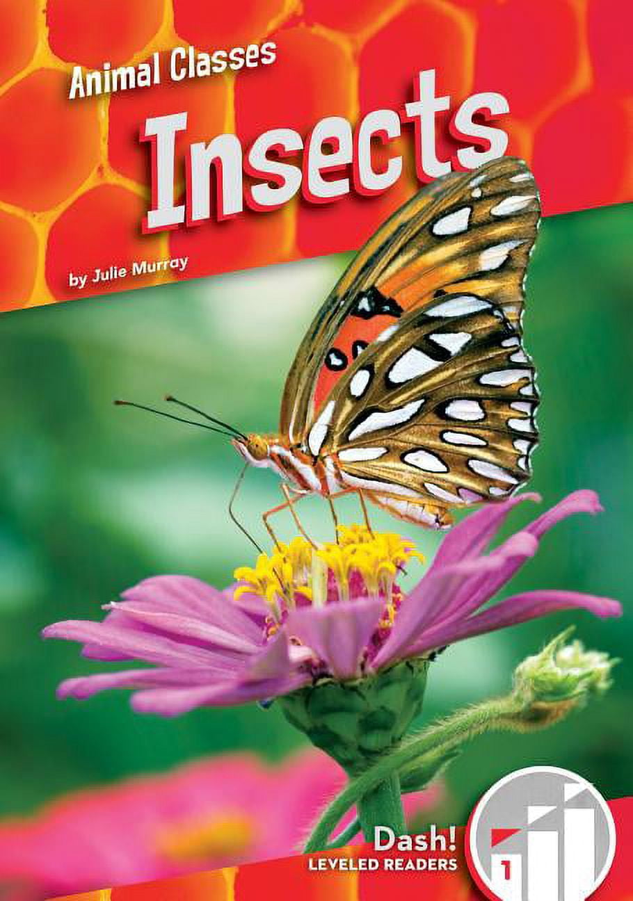 Animal Classes Insects, (Hardcover) - Walmart.com