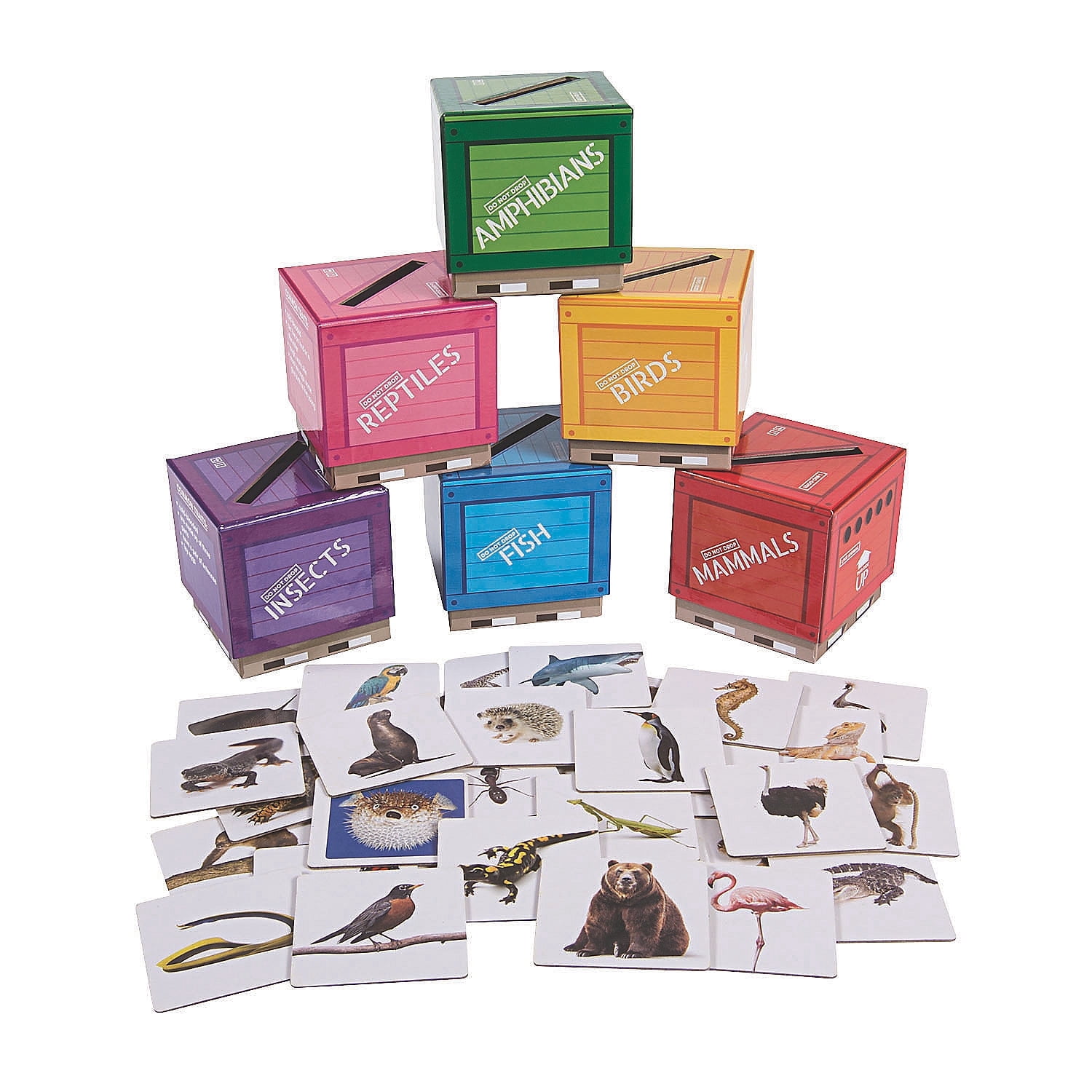 Animal Classifications Sorting Boxes - Educational - 37 Pieces ...