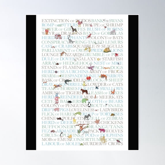 Animal Collective Nouns Poster Wall Art, Modern Wall Decor For Living ...