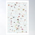 Animal Collective Nouns Poster Wall Art Modern Wall Decor For Living ...