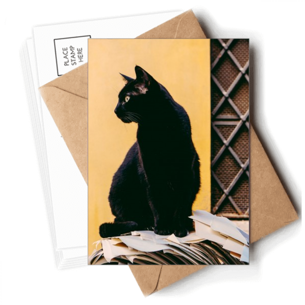 Animal Cool Black Cat Photograph Postcards Envelopes Blank Note Cards ...