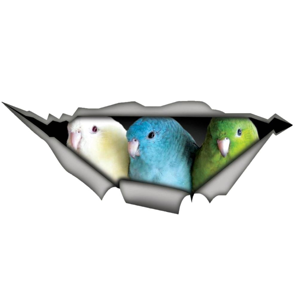 Animal Crack Stickers for Car Glass | Stickers for Car Glass | Wall ...