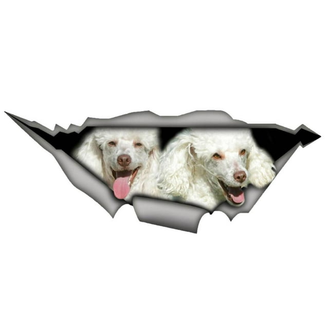 Animal Crack Stickers for Car Glass | Stickers for Car Glass | Wall ...