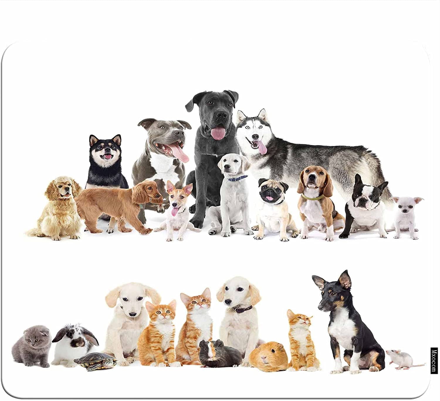 Animal Cub Paradise Mouse Pad Dog Cat Rabbit Turtle Hamster French ...