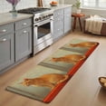 Animal Cute Washable Runner Rug 3X7 ft Pet Orange Cat Non-Slip Hallway ...