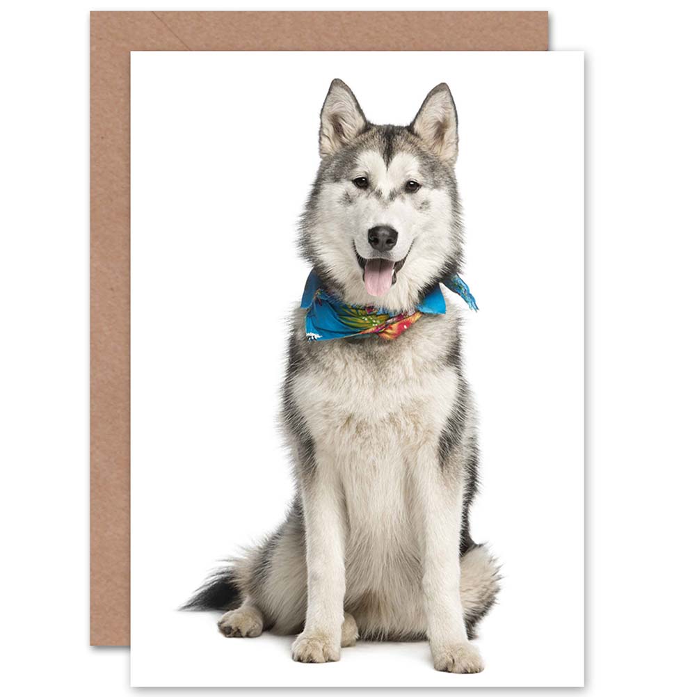 Animal Dog Husky Necktie Cute Greetings Card Plus Envelope Blank inside ...