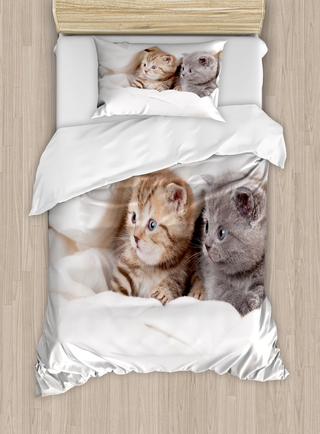 Animal Duvet Cover Set, 2 Little Scottish Fold Kittens on the White ...