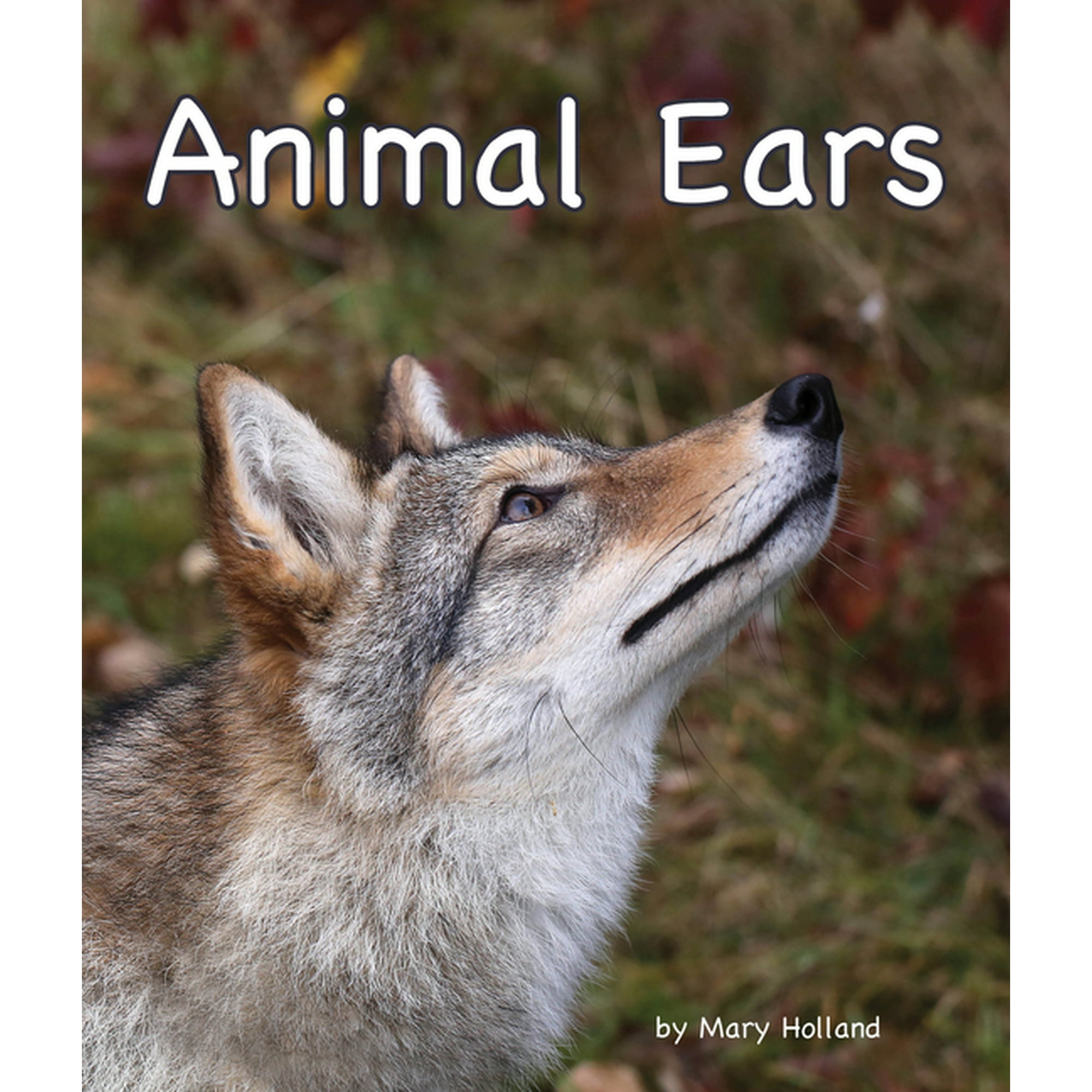 Different Types Of Ears Animals
