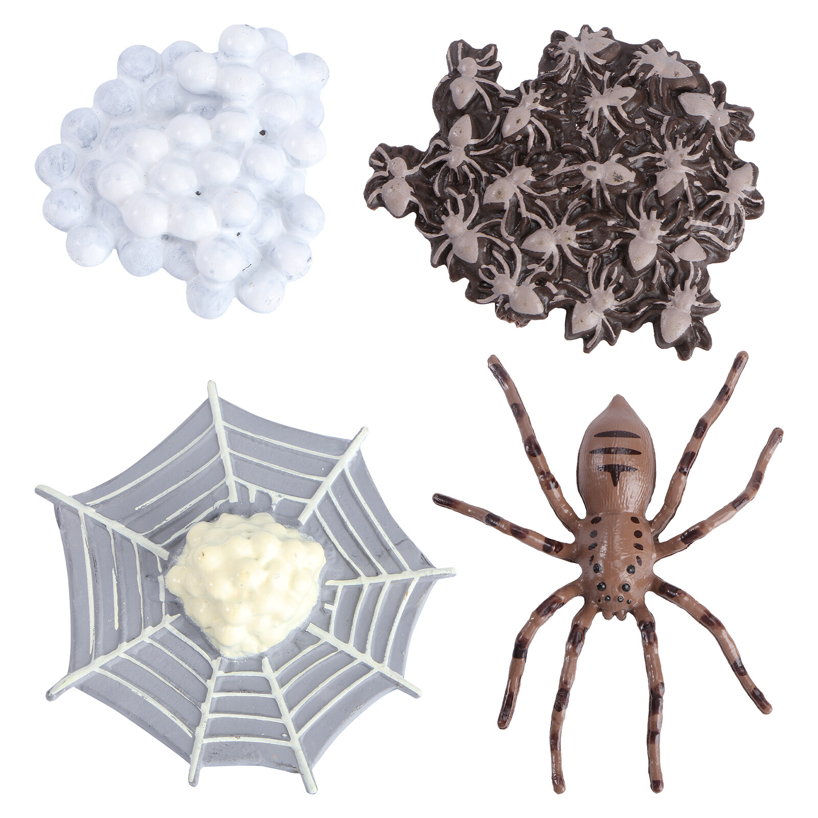 FRCOLOR 1 Set of Simulation Animal Evolution Model Toy Model Party ...