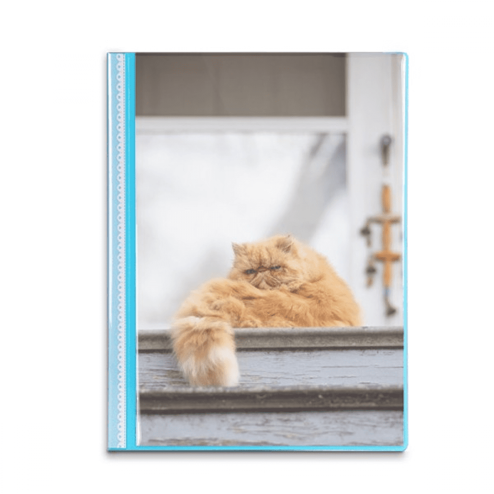 Animal Fat Garfield Cat Photograph Book Sheet Protectors Portfolio ...