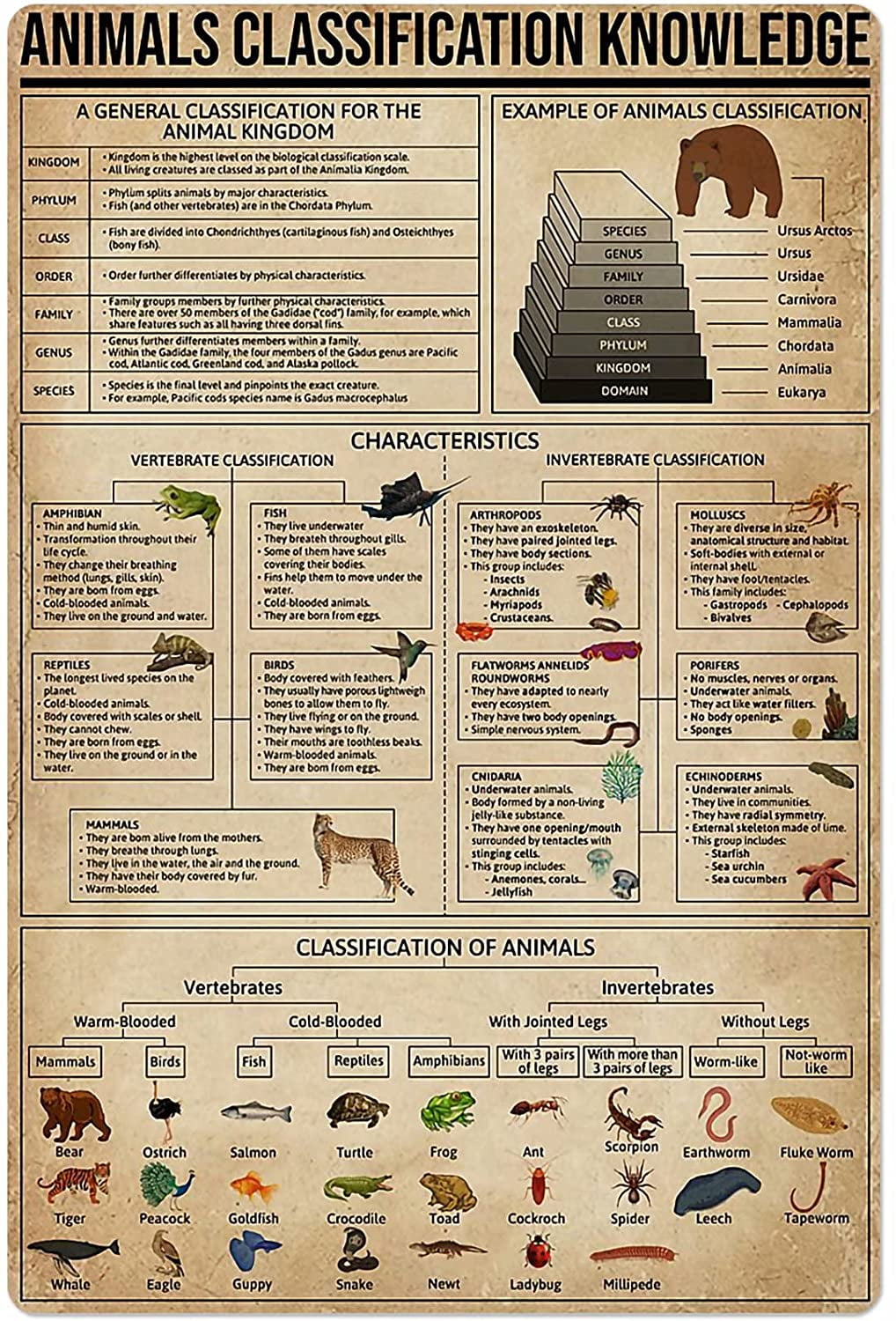 Animal Footprint Knowledge Metal Tin Sign Hunting Chart Poster Farm ...