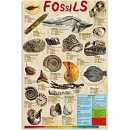 Useful Flute Fingering Chart Poster Practical Instrument Accessories ...