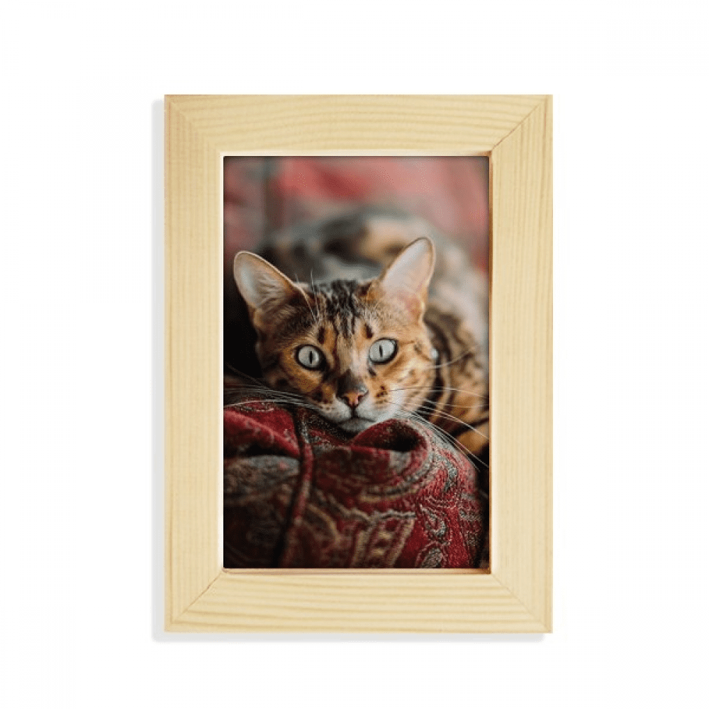 Animal Green Eye Cat Photograph Desktop Display Photo Frame Picture Art ...