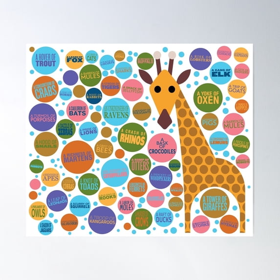 Animal Group Terminology - Circle Version For Kids Poster Wall Art ...