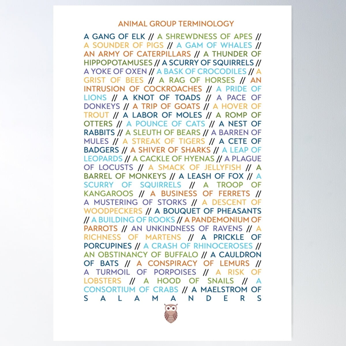 Animal Group Terminology - Coloured Text Edition Poster Wall Art ...