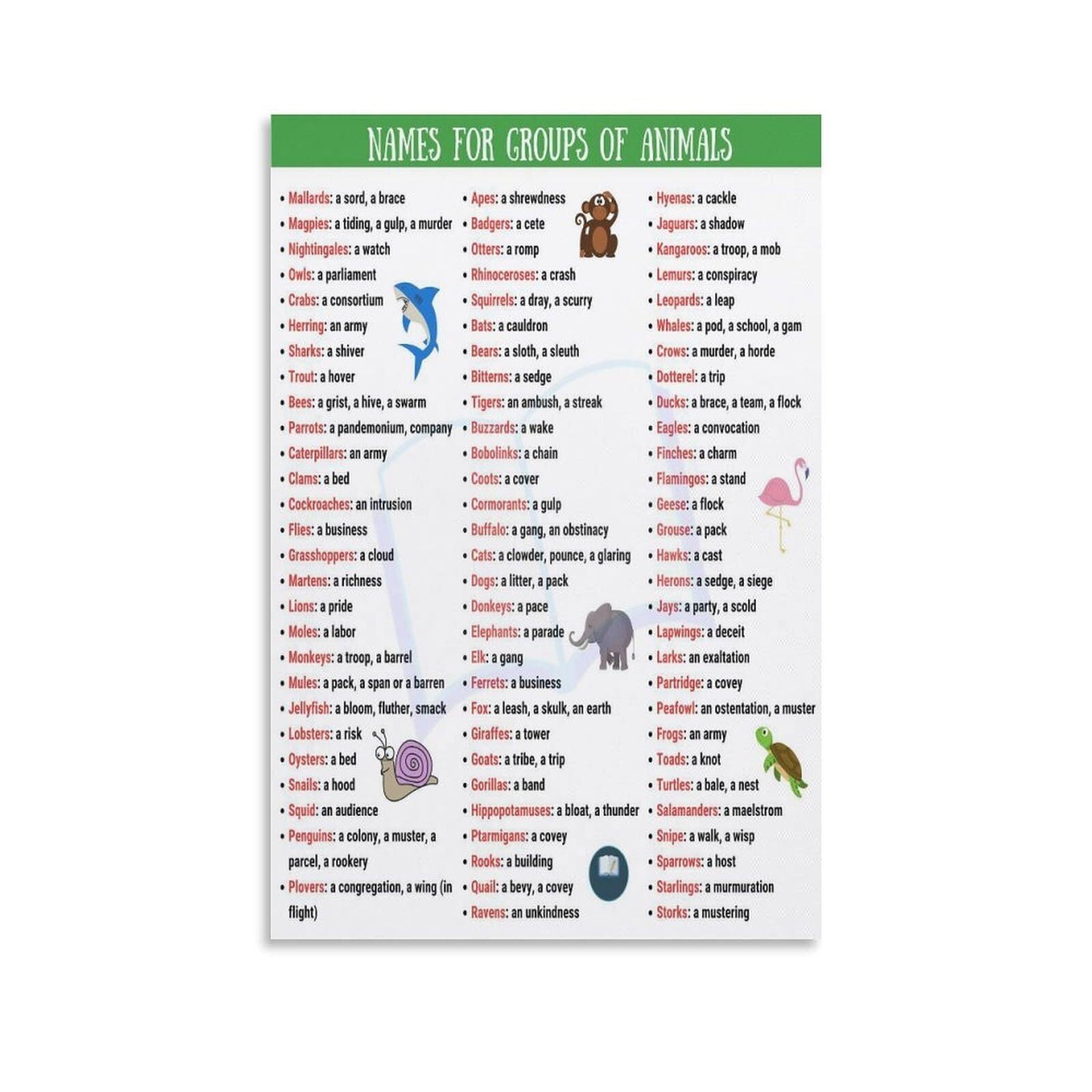 Animal Group Terminology Poster Group Names For Animals (3) Canvas ...