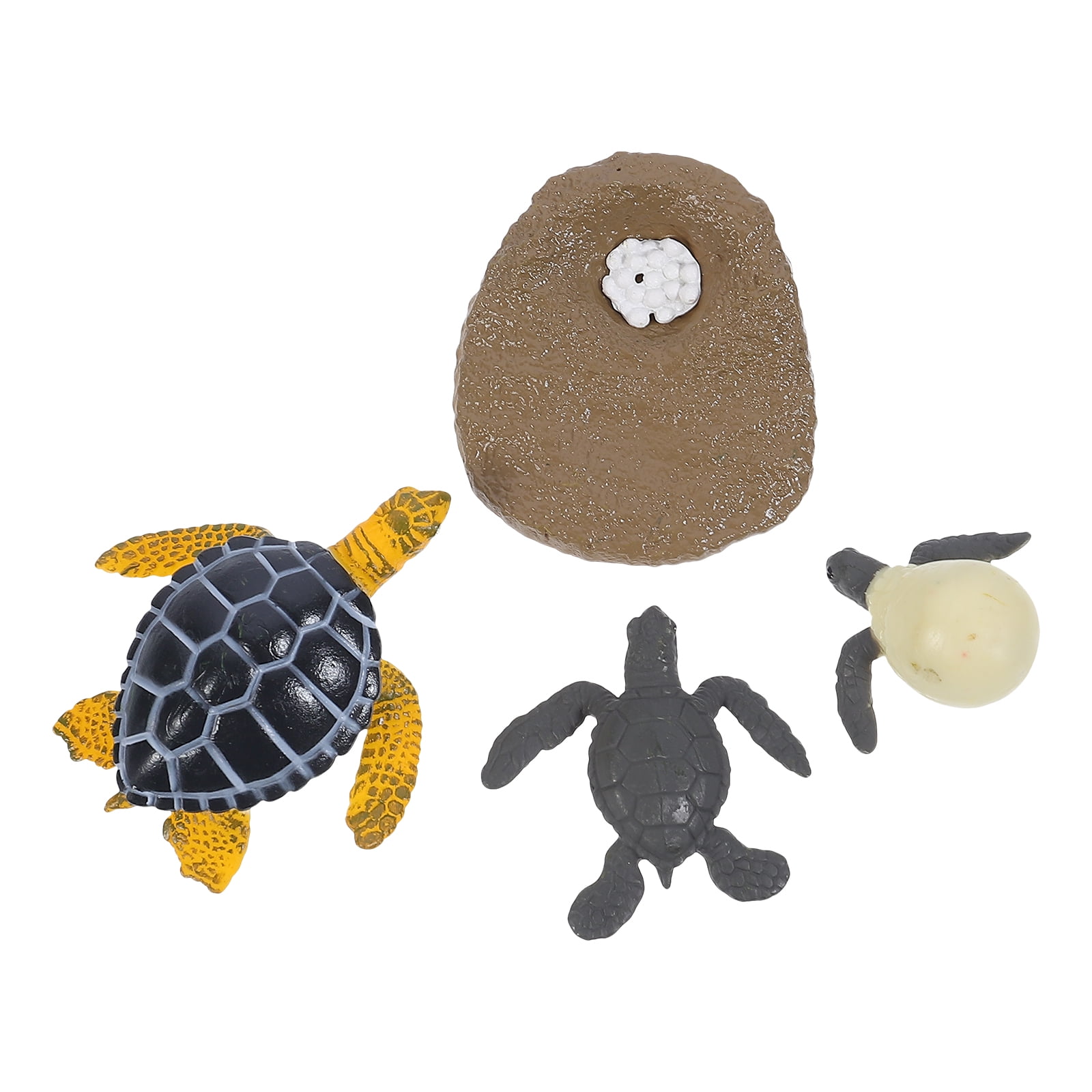 Animal Growth Cycle Educational Playthings Turtle Life Cycle Ornaments ...