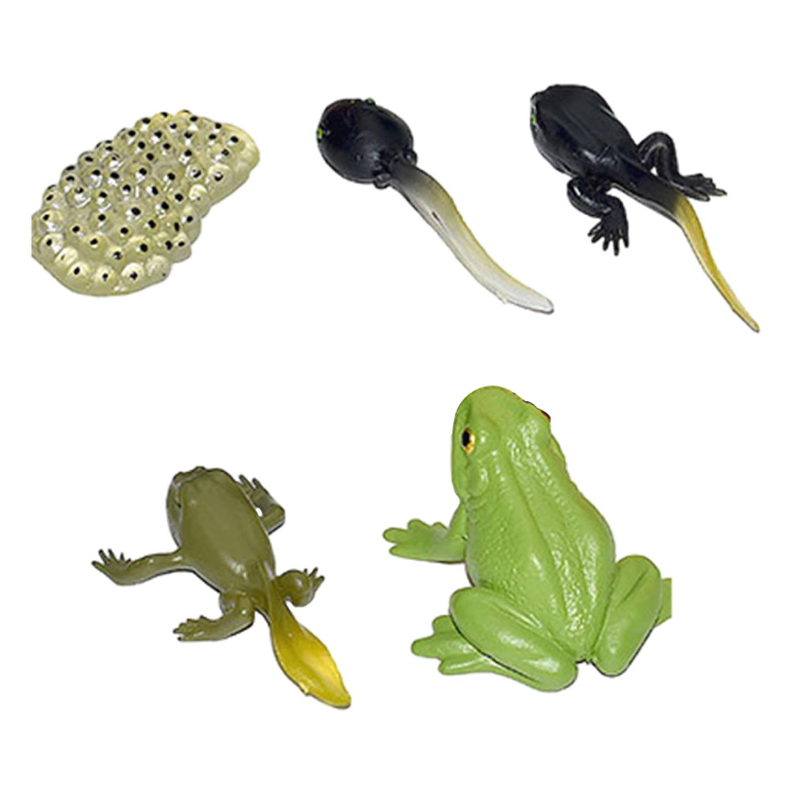 Animal Growth Cycle Set Animal Figurines Toy Puzzles Cake Toppers ...