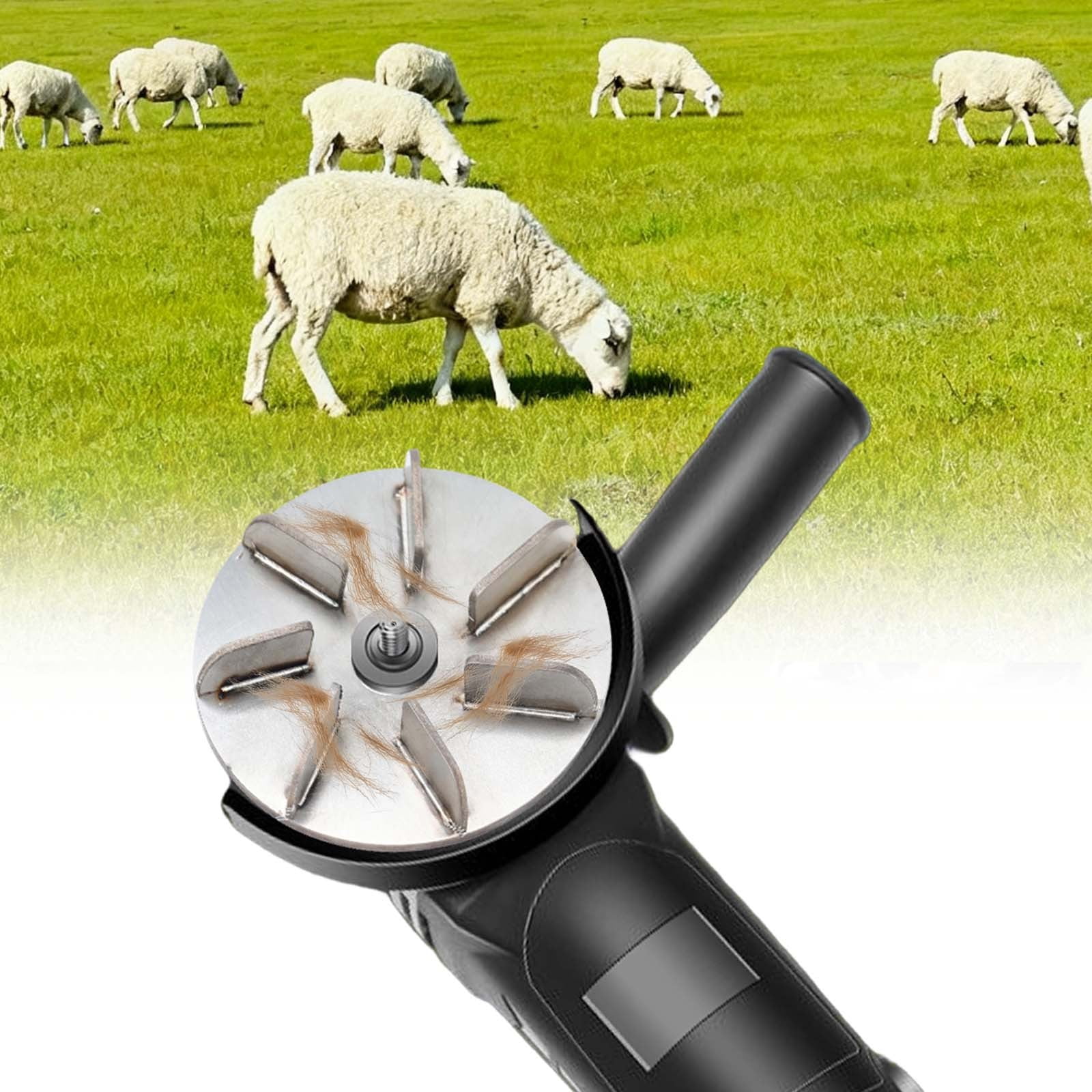 Animal Hair Remover for Livestock Dehairing Efficient Scraper with ...