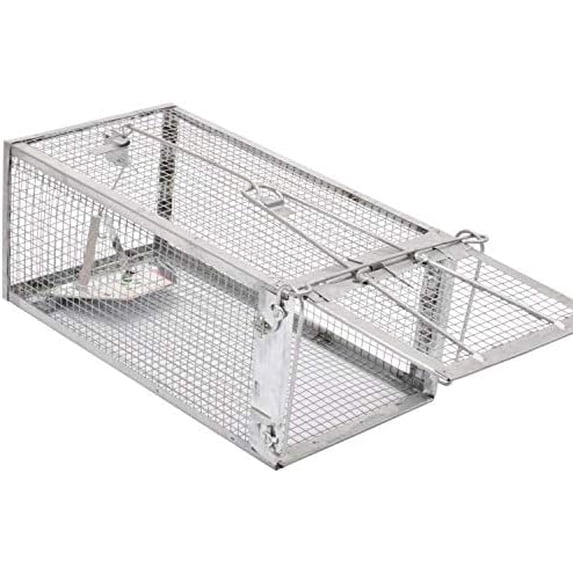 Animal Humane Live Cage Trap That Work for Rat Mouse Chipmunk Mice ...