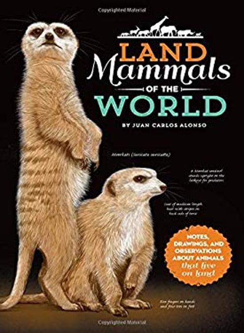 Pre-Owned Animal Journal: Land Mammals of the World: Notes, Drawings ...