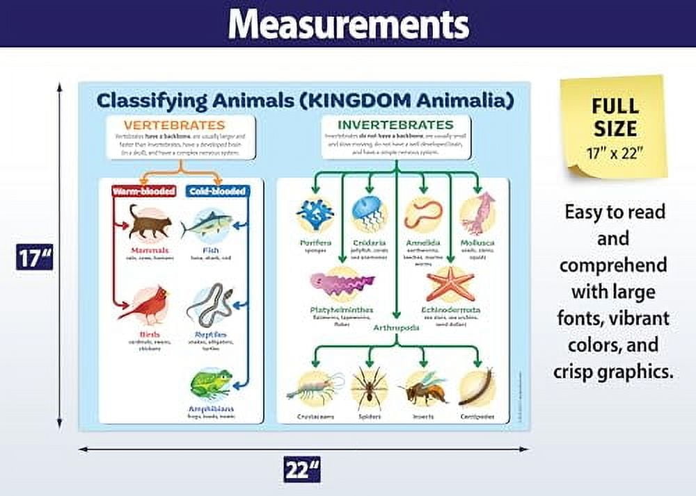 Animal Kingdom Classification Poster (Pack of 10) - Laminated 17 x 22 ...